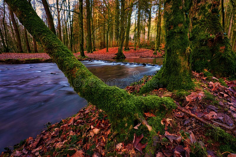 Small River in the Forest, Long Exposure. Stock Image - Image of motion ...