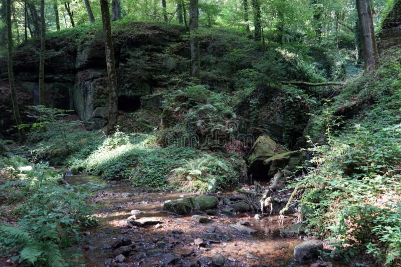 Small river in forest stock image. Image of root, gorge - 77174667