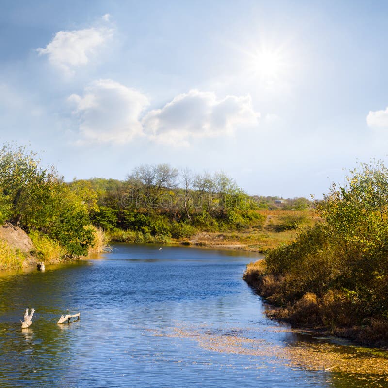 River in Forest at the Sunny Spring Day Stock Photo - Image of glow ...