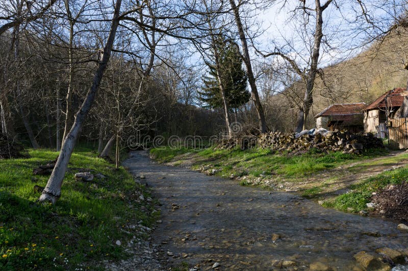Small River in Forest on Sunny Spring Day Stock Photo - Image of ...