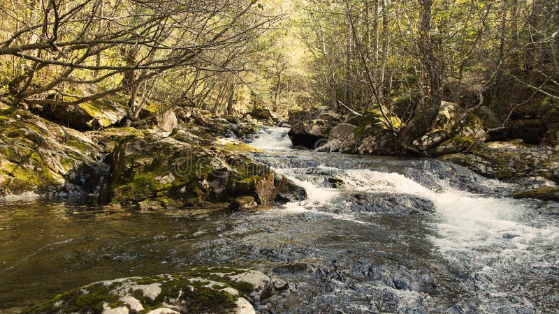 Small river stock photo. Image of river, grass, nature - 68869292