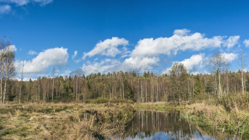 Small River in a Forest Valley Stock Image - Image of nature, outdoor ...