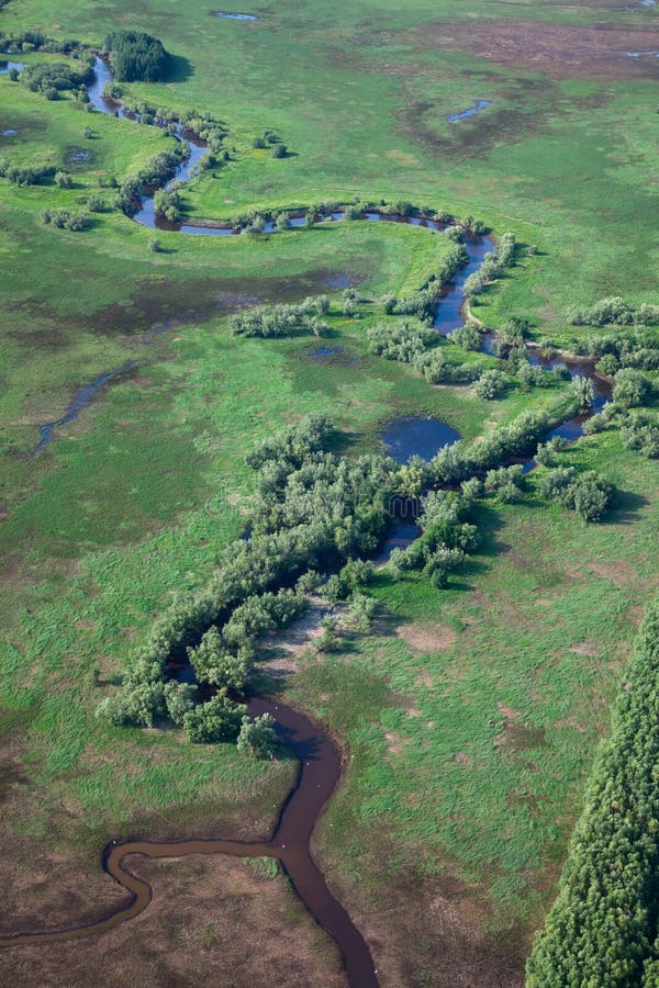 Small River on the Green Plain Stock Image - Image of area, season ...