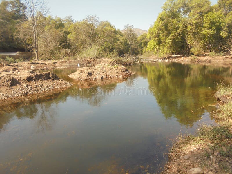 Small River with Green Tree with Shadow Stock Image - Image of grass ...