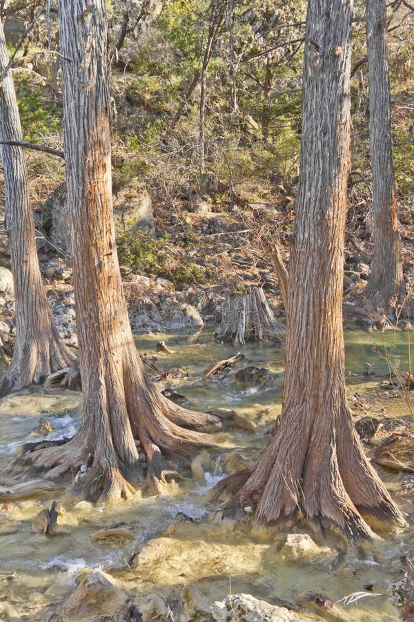 Small River at Hamilton Pool Stock Image - Image of park, preserve ...