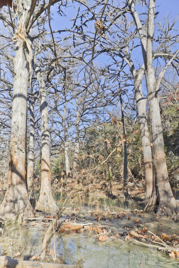 Waterfall at Hamilton Pool stock photo. Image of formations - 79652128