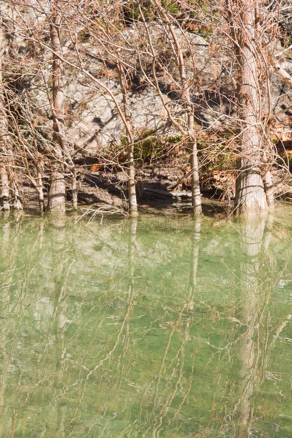 Small River at Hamilton Pool Stock Photo - Image of nature, river: 65969384