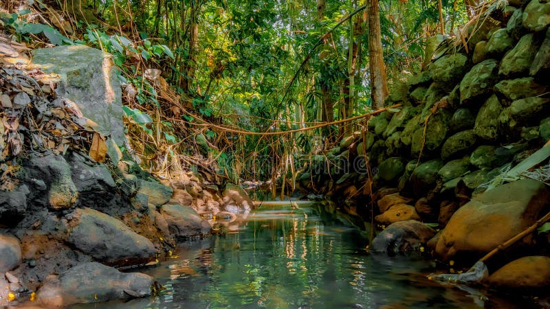 Small River Hidden in the Middle of the Forest. Stock Image - Image of ...