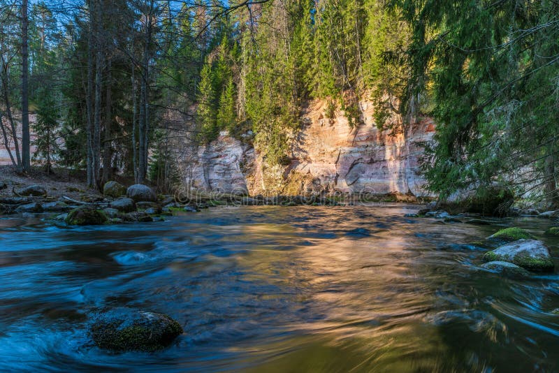 Wooden Bridge Over Small River in Woods Stock Image - Image of ...