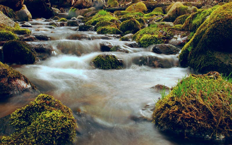 Small River in Long Exposure Stock Image - Image of moss, small: 125037709