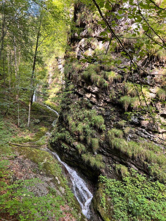 Small River in the Lower Austrian Alps Stock Image - Image of nature ...
