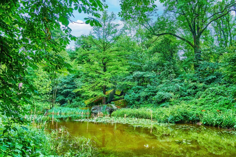 The Small River in Lush Greenery of Sofiyivsky Park in Uman, Ukraine ...
