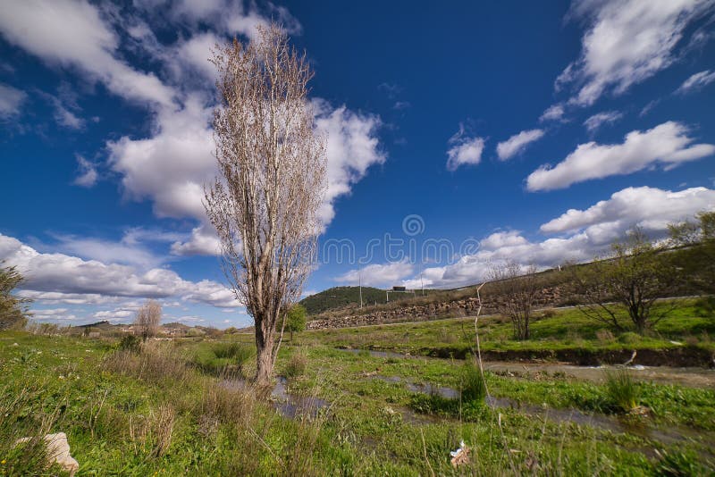 Small River in the Middle of a Beautiful Grassland and Trees in Rural ...