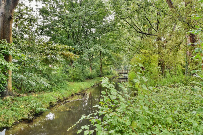 A Canal with Trees on Either Side and a Blue Editorial Stock Photo ...