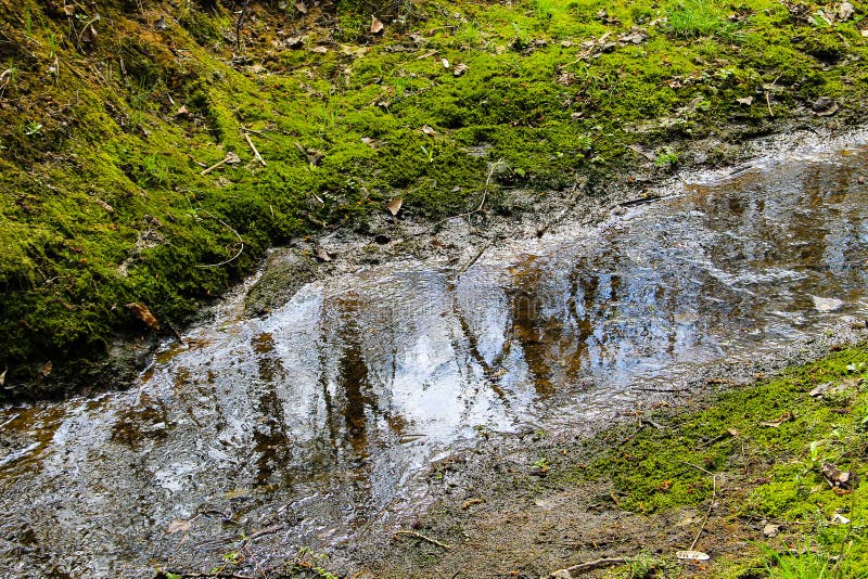 Small River with Moss on Shore Stock Image - Image of lush, fluid ...