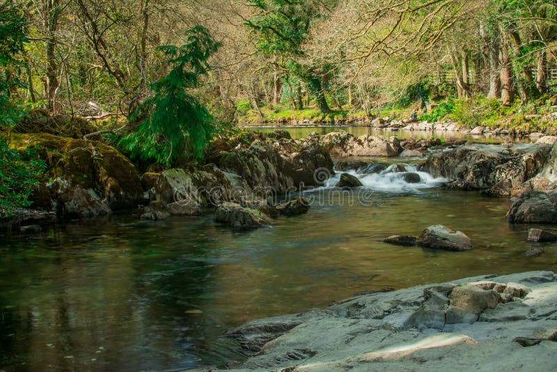 A Small River in the Mountains with Clear Water in Wales UK Stock Photo ...