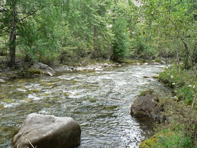 Small River in the Mountains Flows between Rocks and Grass Stock Photo ...