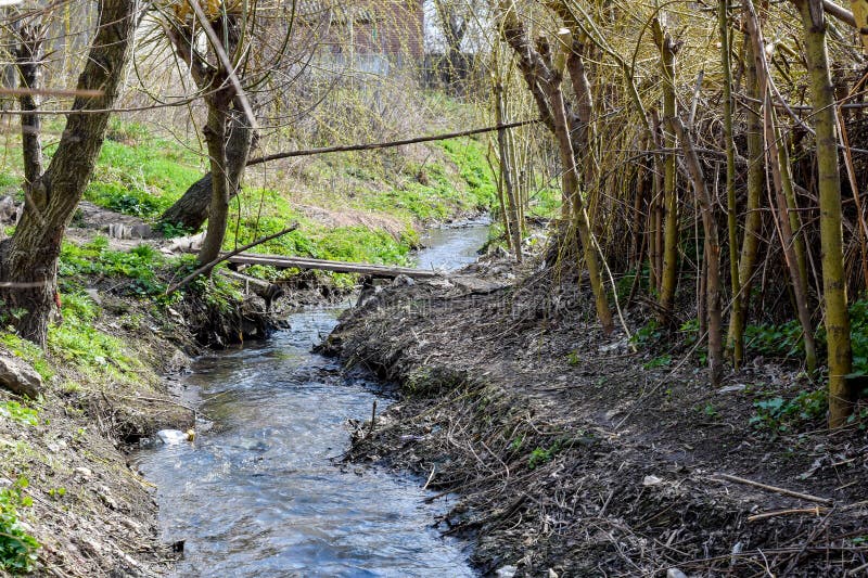 Small River in Nature with Flowing Water among Trees in Spring Stock ...