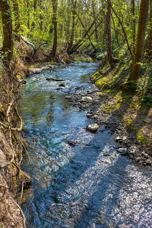 Small River with Rapids in a Forest Setting Stock Photo - Image of leaf ...