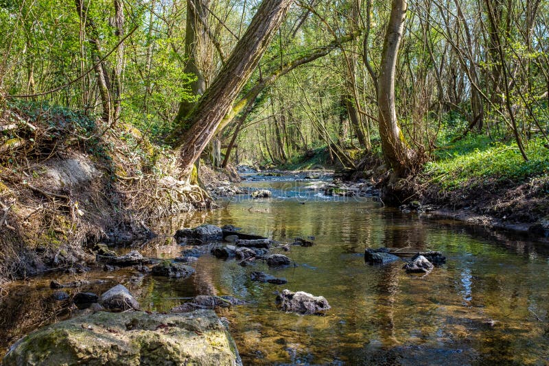 Small River with Rapids in a Forest Setting Stock Image - Image of ...