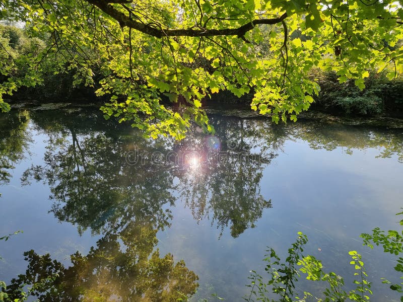 Small River with Reflections of the Trees Stock Photo - Image of autumn ...
