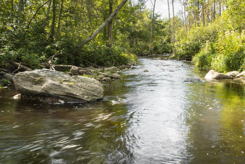 Small river with riffles stock image. Image of small - 78408637