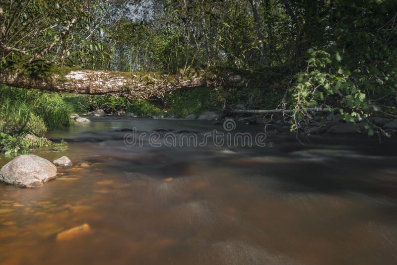 Small River with Riffles, Stones and Beam Stock Image - Image of ...