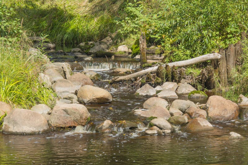 Small River with Riffles, Stones and Beam Stock Image - Image of ...
