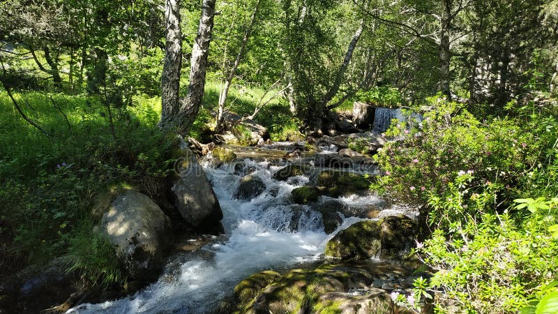 The small river stock photo. Image of rocks, small, cascade - 152848386