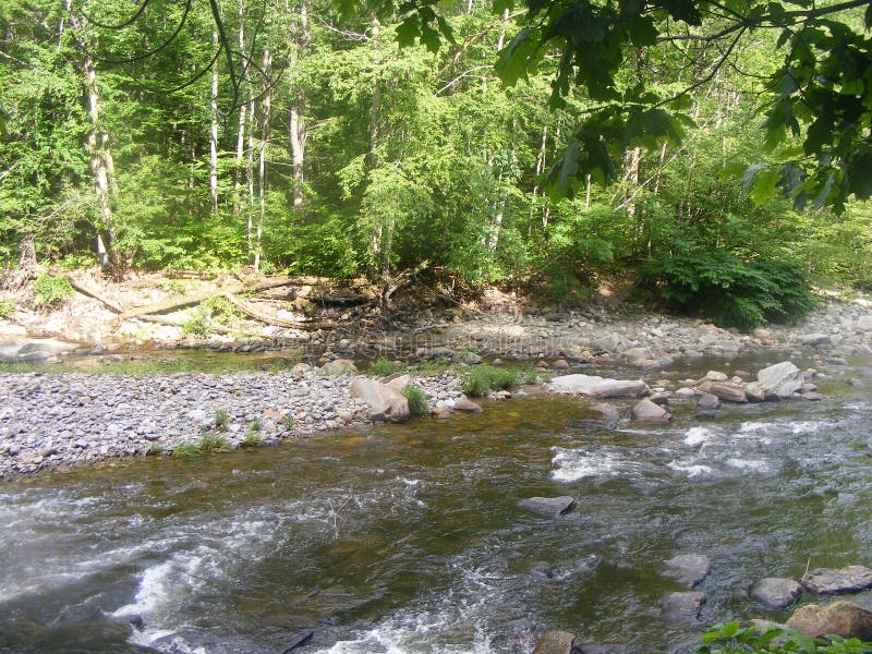 Small river with rocks stock image. Image of grey, rocks - 96030443