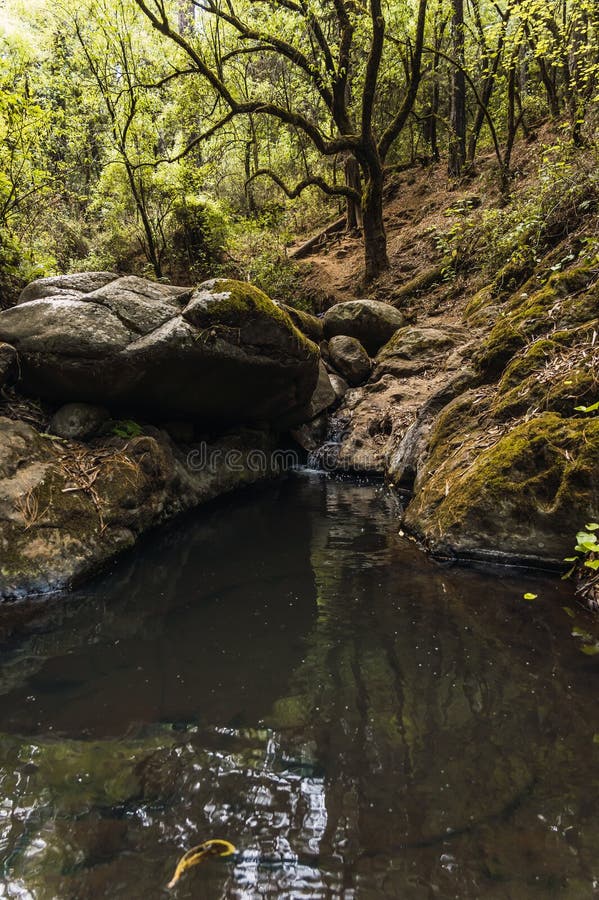 Small River with Rocks, Trees and Plants Stock Image - Image of rapid ...