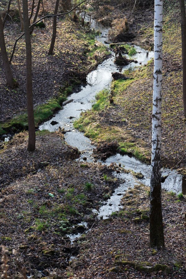 A Small River Runs in the Autumn Park. Stock Image - Image of beautiful ...