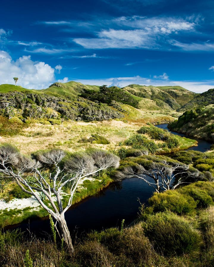 Small River on Sutton Pass, Vancouver Island Stock Photo - Image of ...