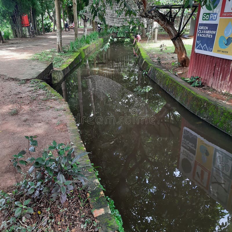 Small River on the Side of the Road with Trees Around it Editorial ...