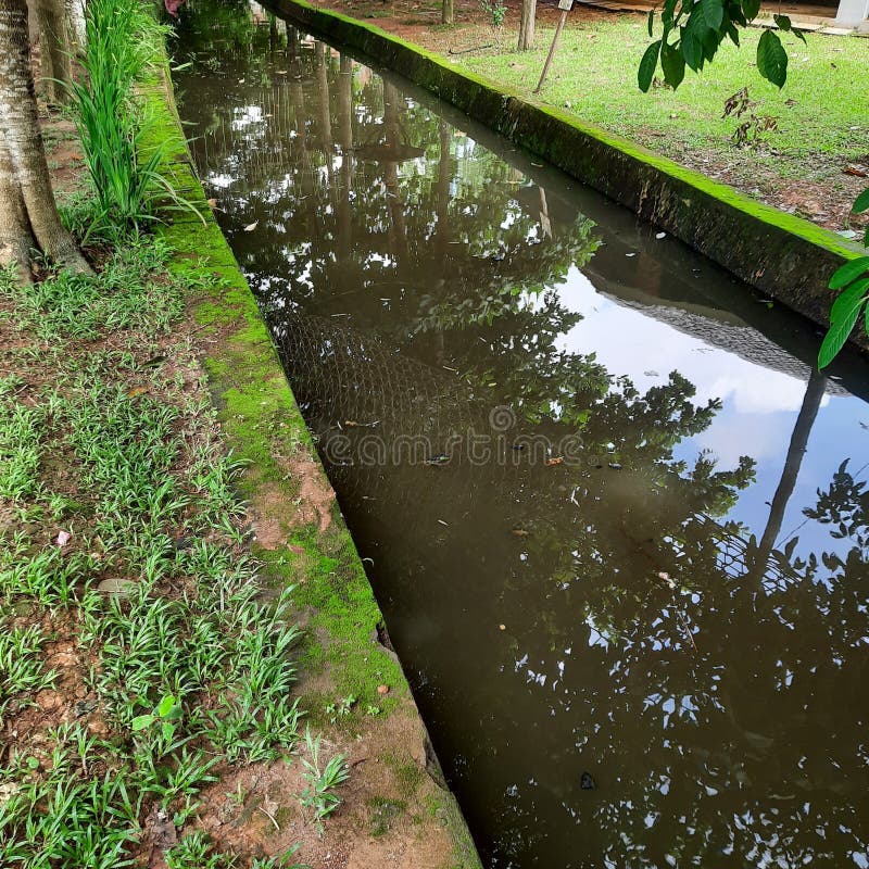 Small River on the Side of the Road with Trees Around it Stock Photo ...