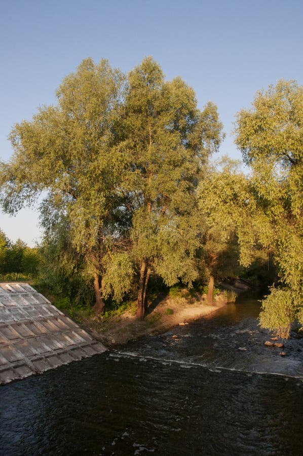 Small River Slow Flowing Across the Green Forest with Reflections of ...