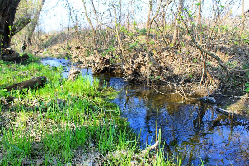 Small river on spring stock photo. Image of flora, flowers - 69776072