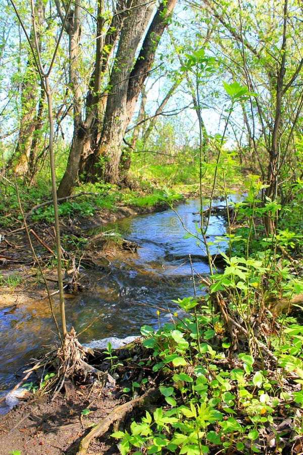 Small river on spring stock image. Image of landscape - 70034477