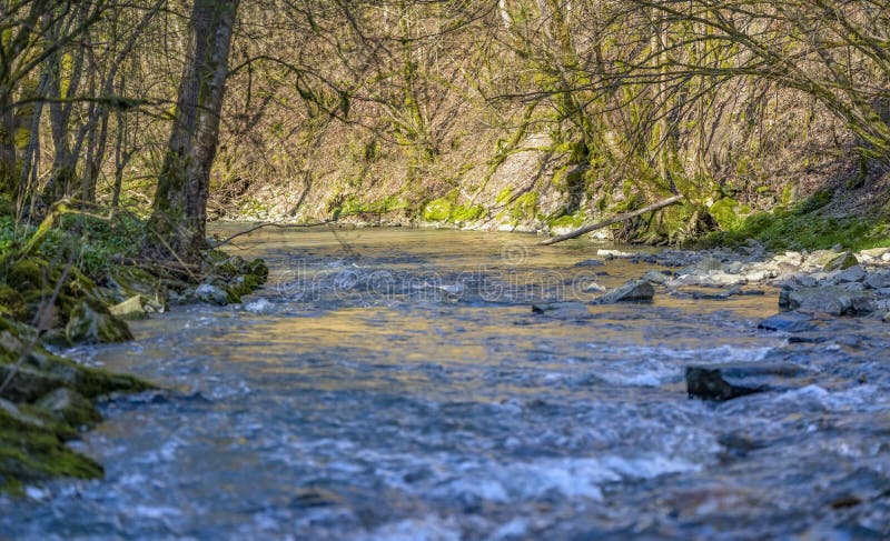 Small river at spring time stock photo. Image of pebble - 181198628