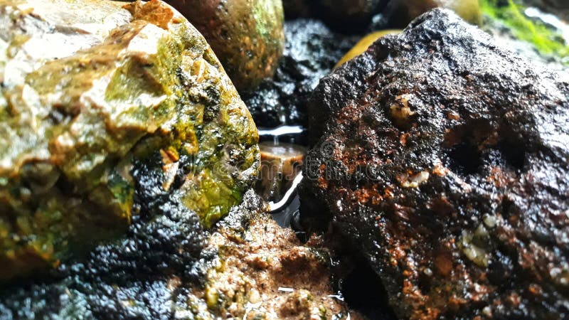 Small river stone stock photo. Image of water, small - 203705288