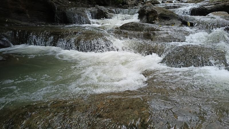 Small River Stream on Rock Full of Green Moss Stock Photo - Image of ...