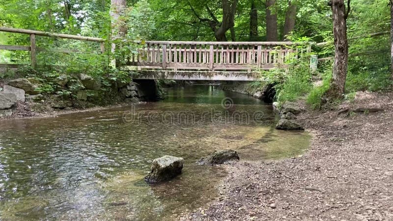 Small River Stream Under a Wooden Bridge in Summer Stock Video - Video ...