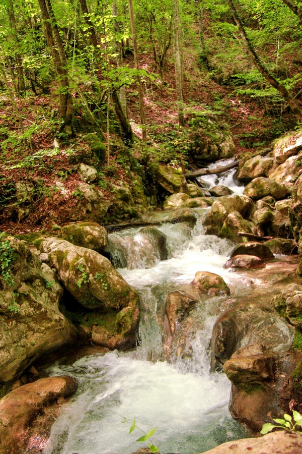 Small River Stream Waterfall in the Forest Natural Environment Stock ...