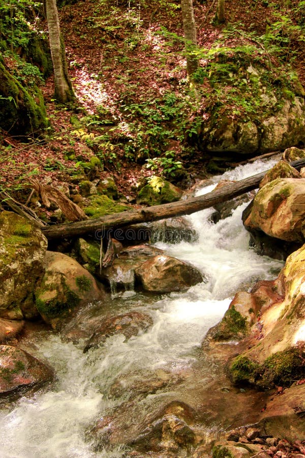 Small River Stream Waterfall in the Forest Natural Environment Stock ...