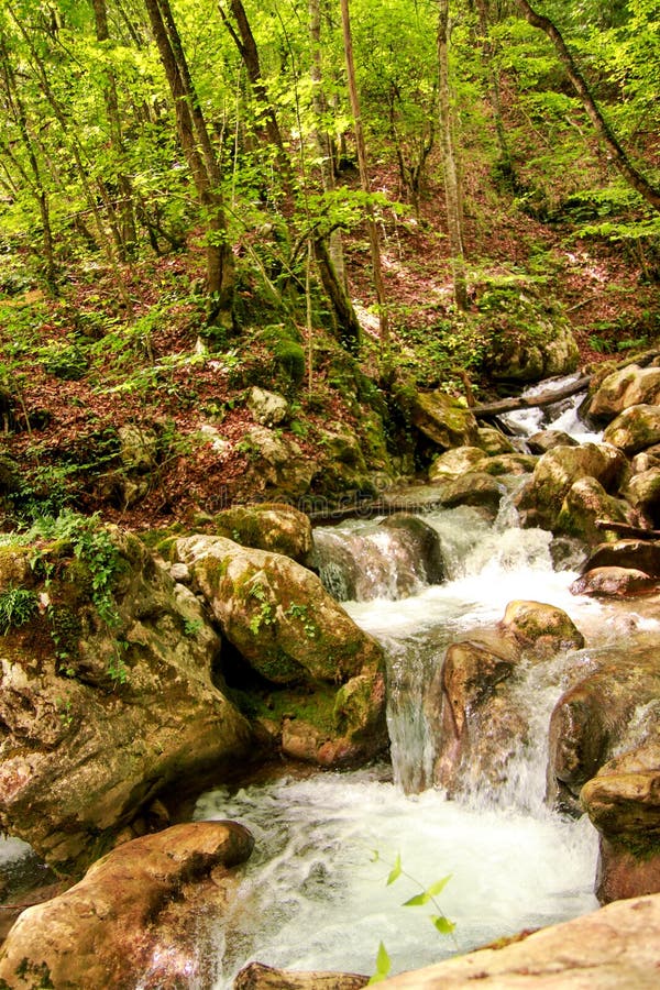 Small River Stream Waterfall in the Forest Natural Environment Stock ...