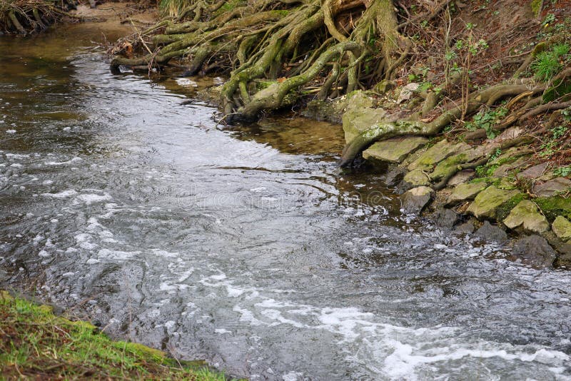 Small River Surrounded by Branches and Rocks Under the Sunlight at ...
