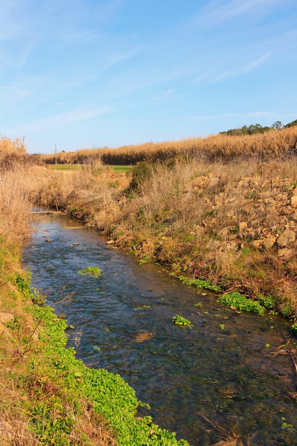 Small river trough woods stock image. Image of portugal - 23510639