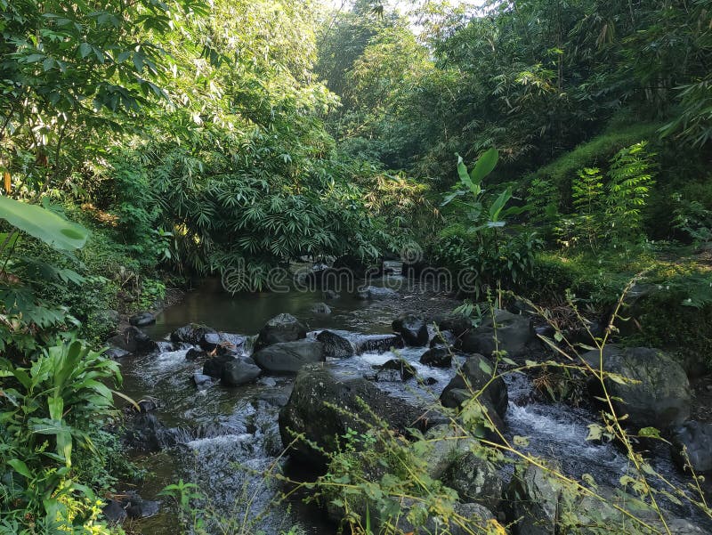 Small River in Valley, Fresh and Nature Stock Photo - Image of ...