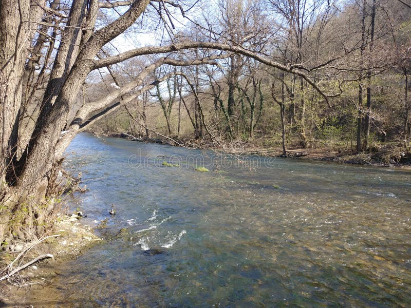 Small River between the Trees Stock Photo - Image of trees, waterfalls ...