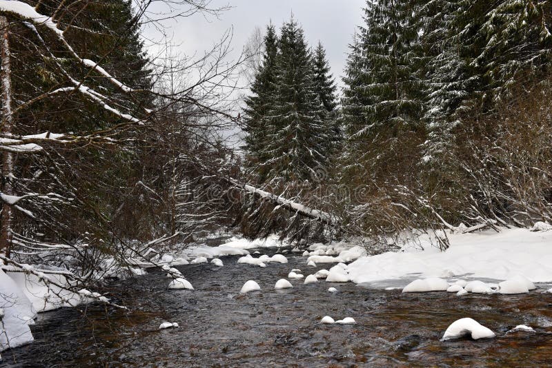 Small River with White Snow-covered Trees and Rocks Stock Image - Image ...